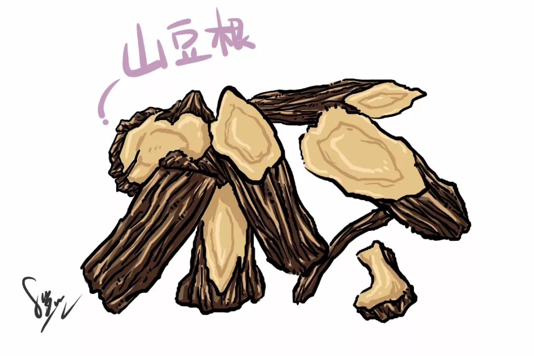 Heat-clearing and detoxifying medicine Shandougen – Faxne