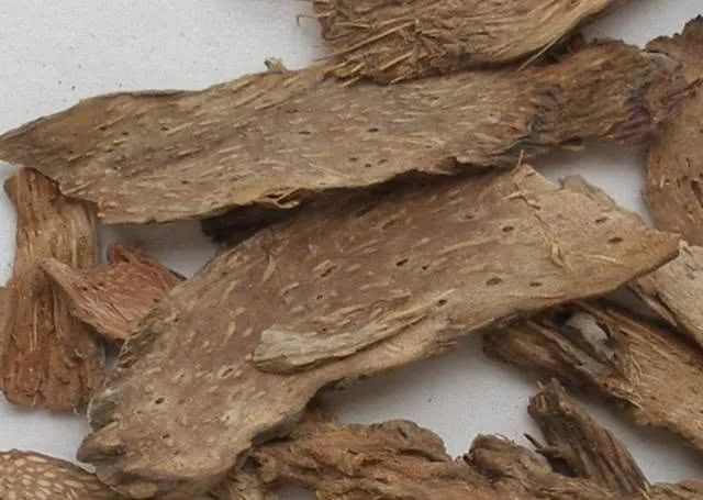 Medicina Qiannianjian para disipar el reumatismo y fortalecer músculos ...