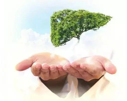 Le nombre de décès dus au cancer, la première cause de mortalité ...