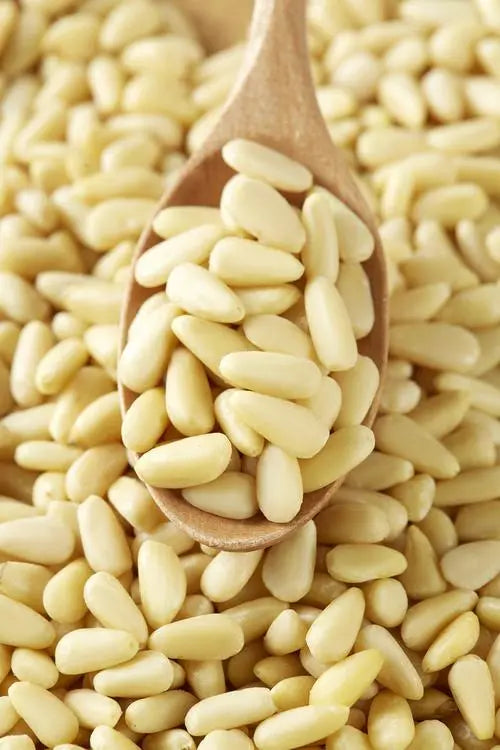 Pine Nut Kernel for Laxative Medicine and Moisturizing Medicine – Faxne